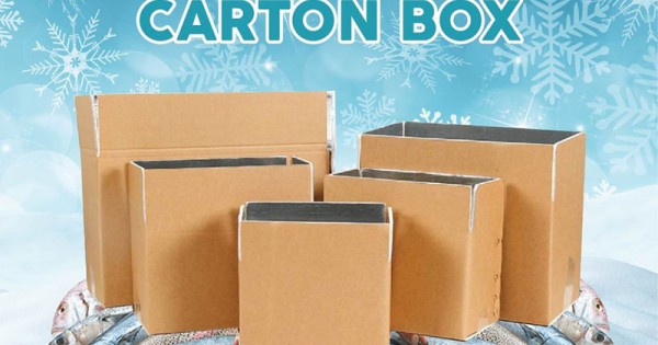 INSULATION CARTON BOX
